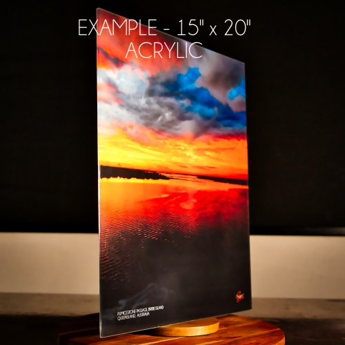 Advancetown Lake Above the Dead Trees